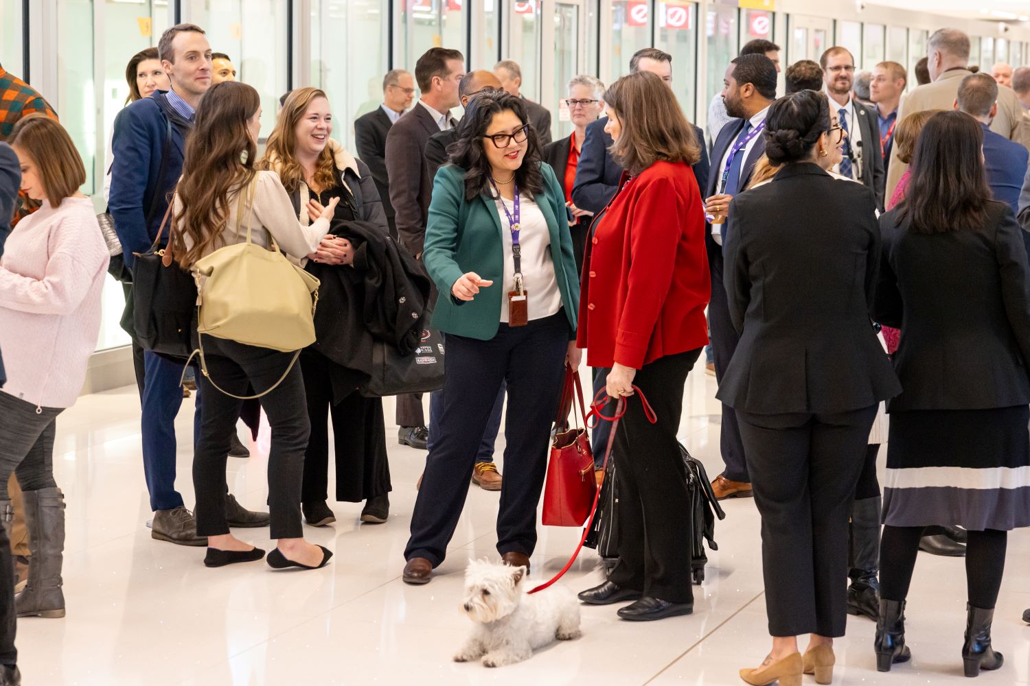 The Rookie's Guide to Contract: Ayanna's Story of Success