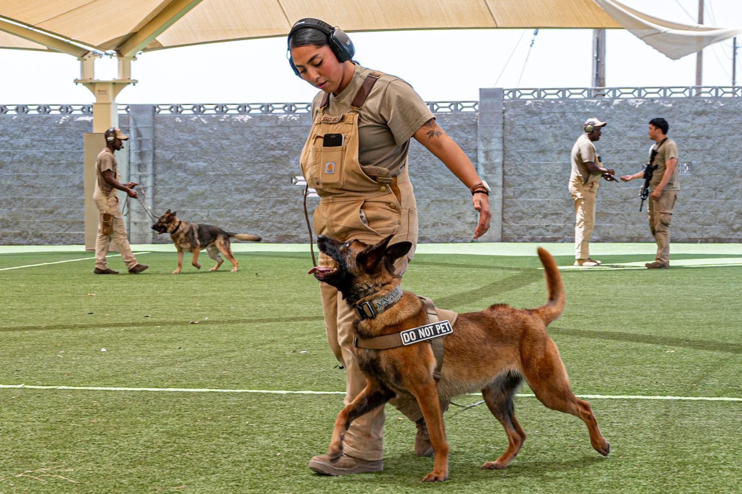 Loyal Partners - Military Working Dogs in Action and Preparation