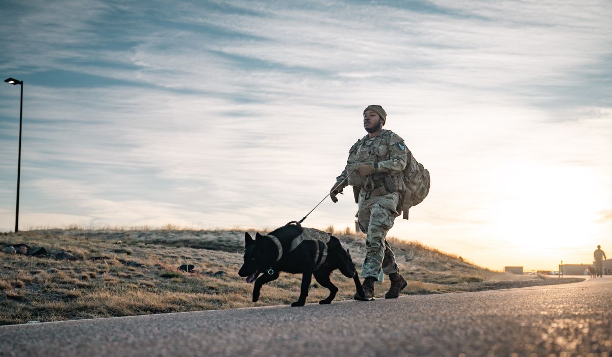 Loyal Partners - Military Working Dogs in Action and Preparation